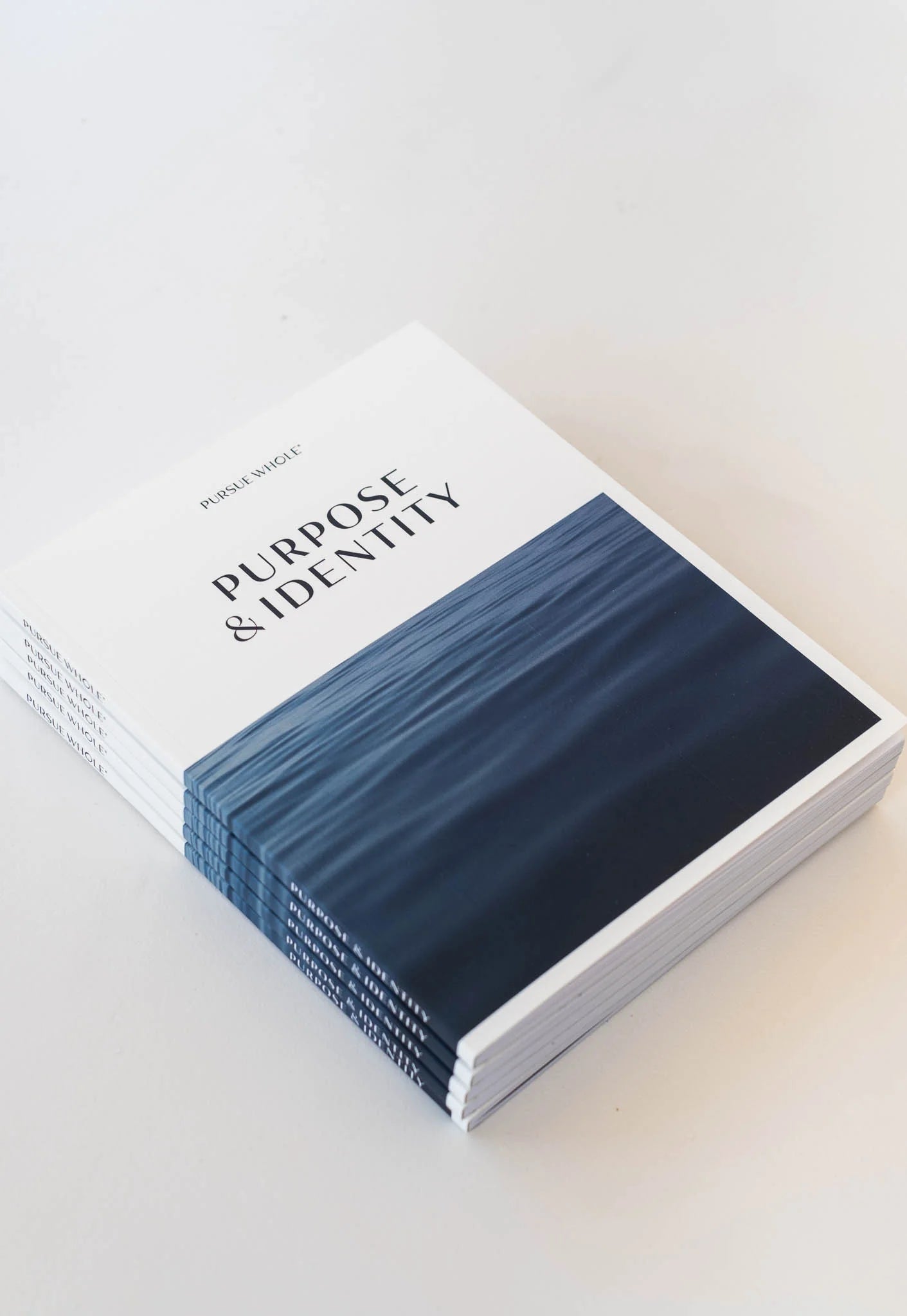 Vision Guides – Pursue Whole